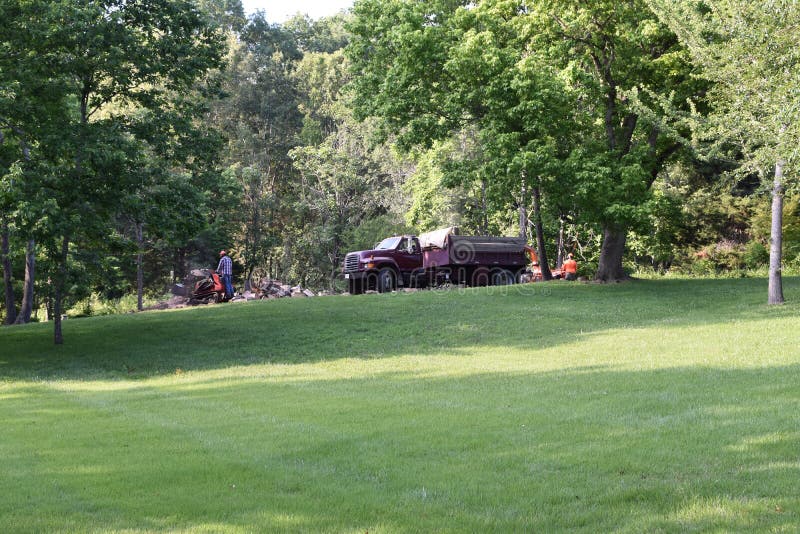 Men at Work Clearing a Downed Tree Stock Photo - Image of tree, grass ...