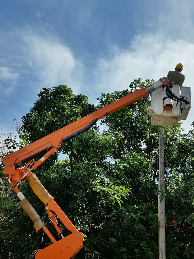 Men at Work, Fix Lamp Light on the Road. Stock Image - Image of plant ...