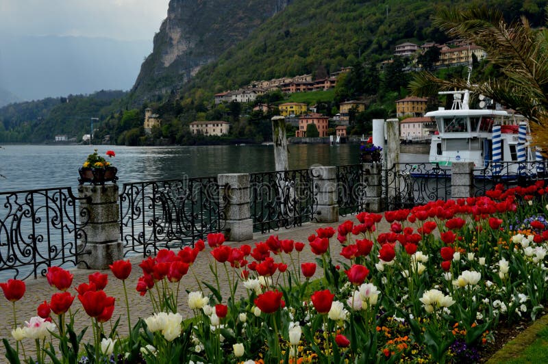 Menaggio stock image. Image of eating, green, holiday - 70751499