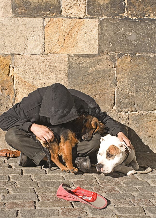 Mendigo De La Calle En Praga Foto de archivo - Imagen de puente, hombre ...