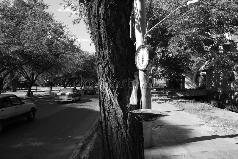 Mendoza stock photo. Image of decoration, sale, coastline - 237273486