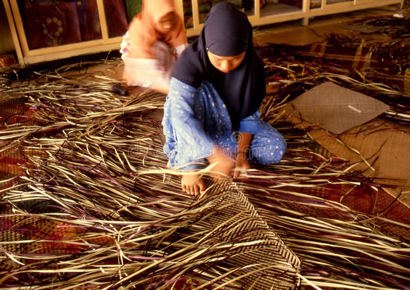 Mengkuang Leaves stock image. Image of indonesia, material - 14298771