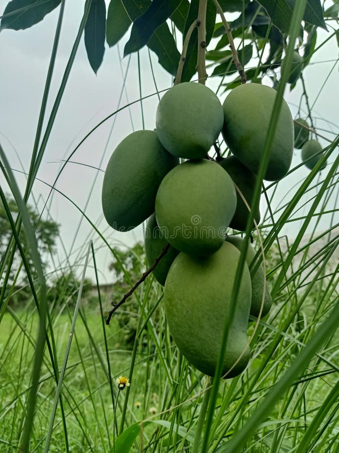 Necher Photography Stock Photos - Free & Royalty-Free Stock Photos from ...