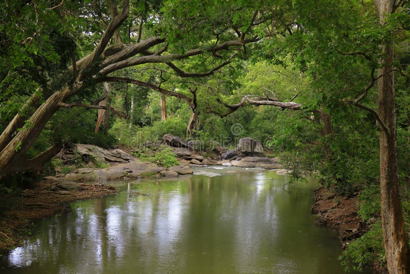Menik river kataragama stock photo. Image of landscape - 246215302