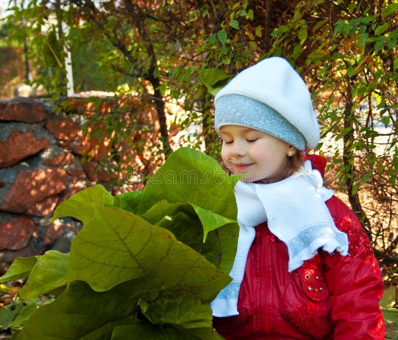A menina cheira as folhas imagem de stock. Imagem de prazer - 16871995