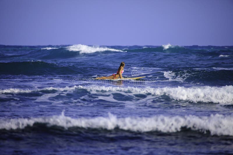 Menina No Biquini Cor-de-rosa Que Surfa Foto de Stock - Imagem de feliz ...