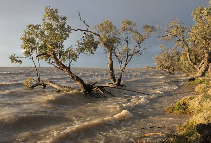 Menindee lakes NSW. stock image. Image of trees, outback - 32629753
