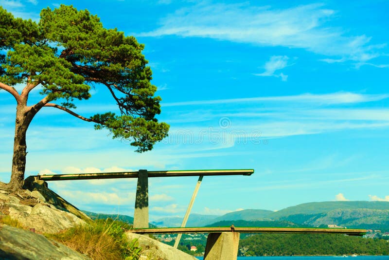 Mening Van Duikplank Springplank Om Bij Water Te Duiken Stock Foto ...