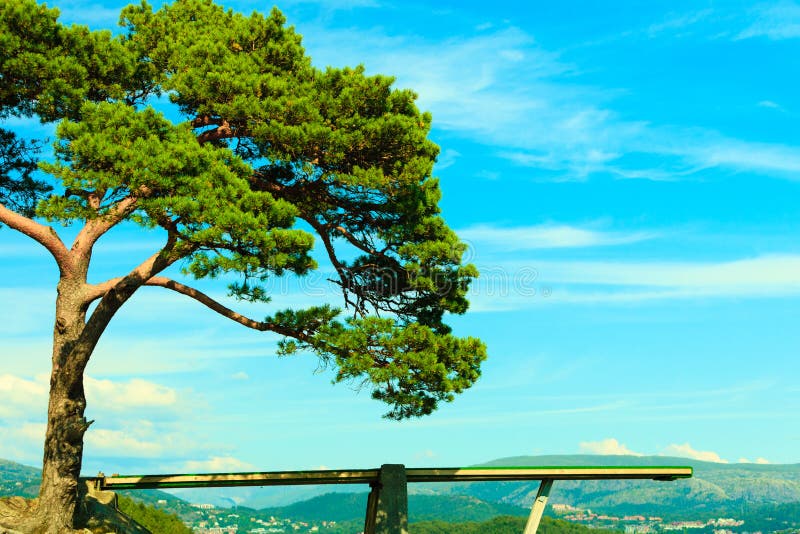 Mening Van Duikplank Springplank Om Bij Water Te Duiken Stock Foto ...