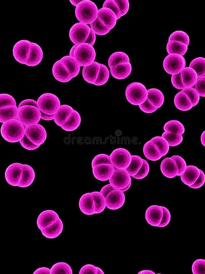 Meningococcus stock illustration. Illustration of medical - 11898323
