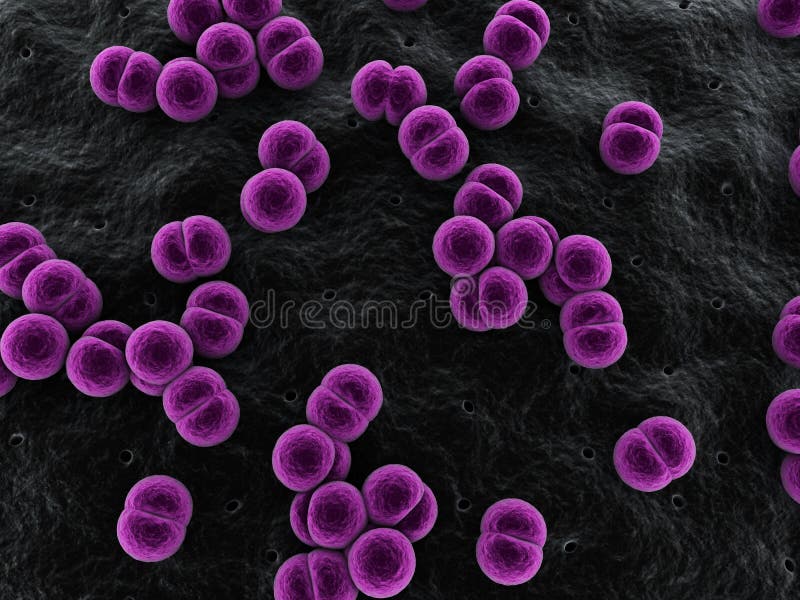 Meningococcus stock illustration. Illustration of medical - 11898323