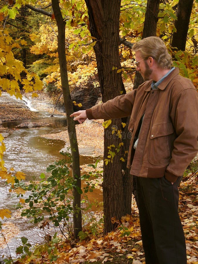 Ravijn stock foto. Image of boom, berg, bezoek, krommingen - 21536122