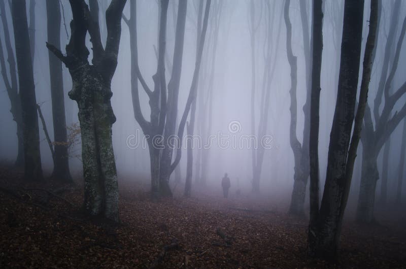 Mens Die in Eng Bos Met Mist Lopen Stock Foto - Image of achtervolgd ...