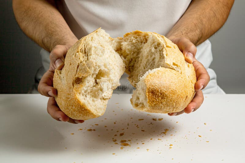 Mens Hands Break a Loaf of Round Wheat Bread Made with Sourdough Stock ...