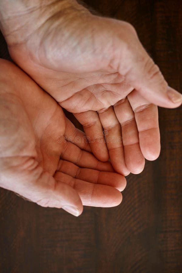 Mens Hands stock photo. Image of hold, close, clear - 101622924