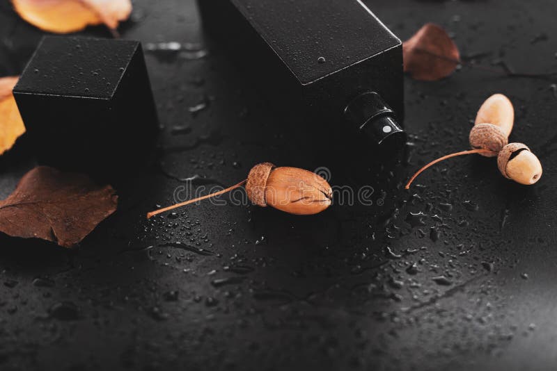Perfume with Dry Leaves on Dark Background Stock Photo - Image of ...