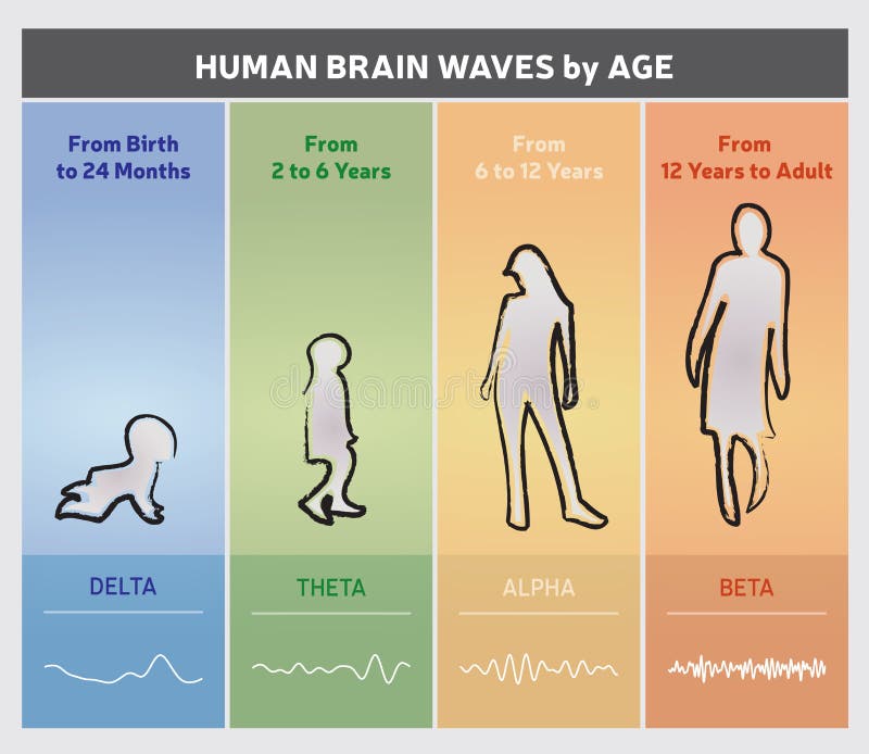Mensch Brain Waves Diagram/Diagramm/Illustration Vektor Abbildung ... Mensch Brain Waves Diagram/Diagramm/Illustration Vektor Abbildung ...