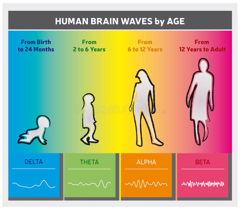 Mensch Brain Waves Diagram/Diagramm/Illustration Vektor Abbildung ... Mensch Brain Waves Diagram/Diagramm/Illustration Vektor Abbildung ...