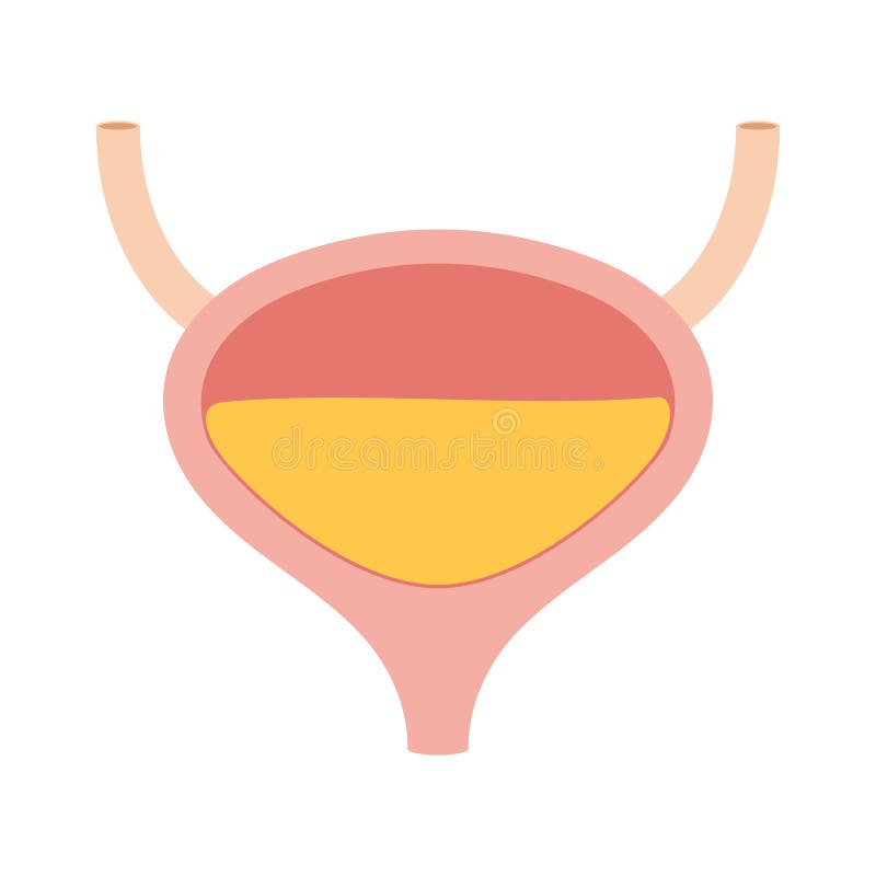 Blase Definitionmeaning