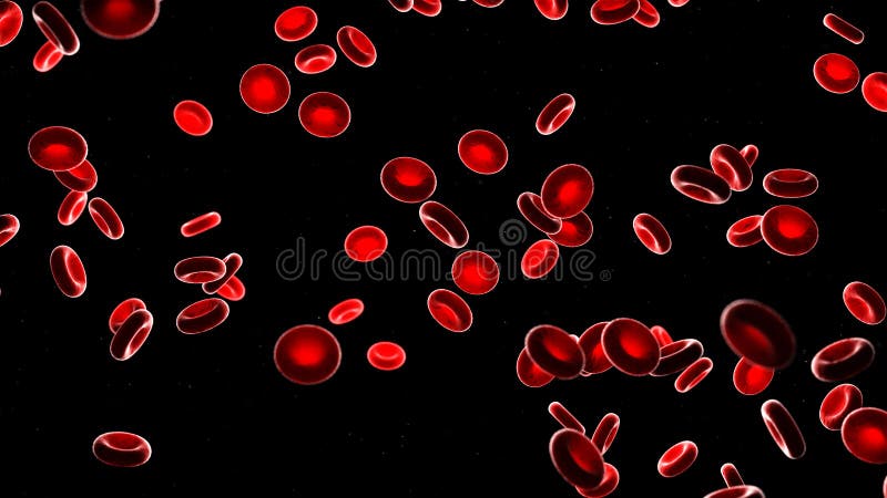 Menschliche Blutzellen stock abbildung. Illustration von arterie ...