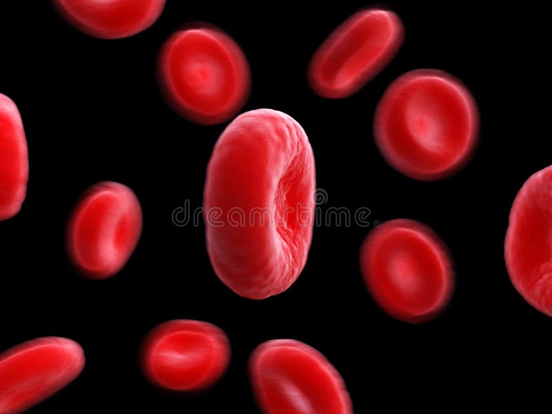 Blutzellen in der Arterie stock abbildung. Illustration von ...