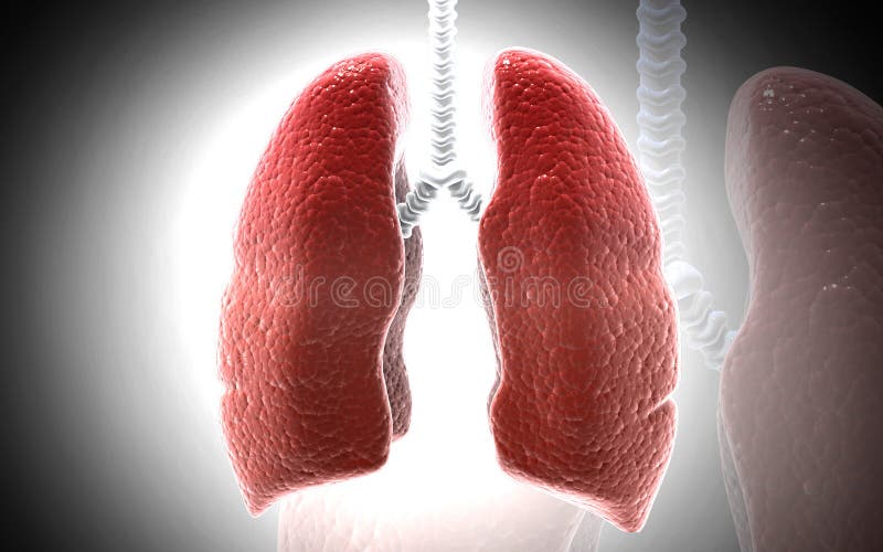 Menschliche Lungen mit DNA stock abbildung. Illustration von bronchitis ...