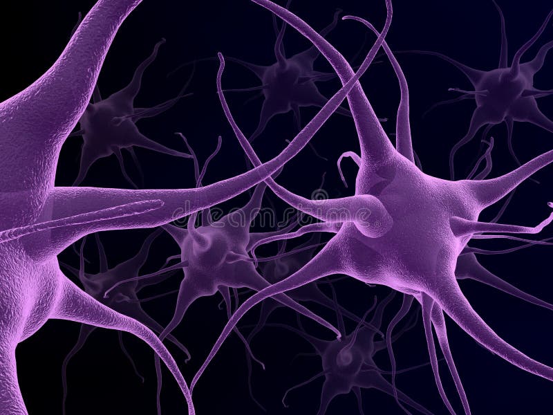 Menschliche Neuronen stock abbildung. Illustration von synapse - 12496827