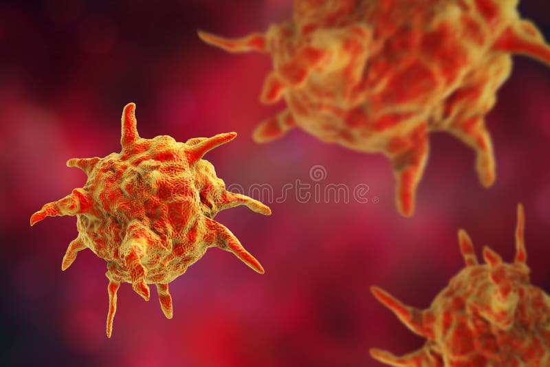 Menschliche Oder Tierische Pathogene Viren Stock Abbildung ...