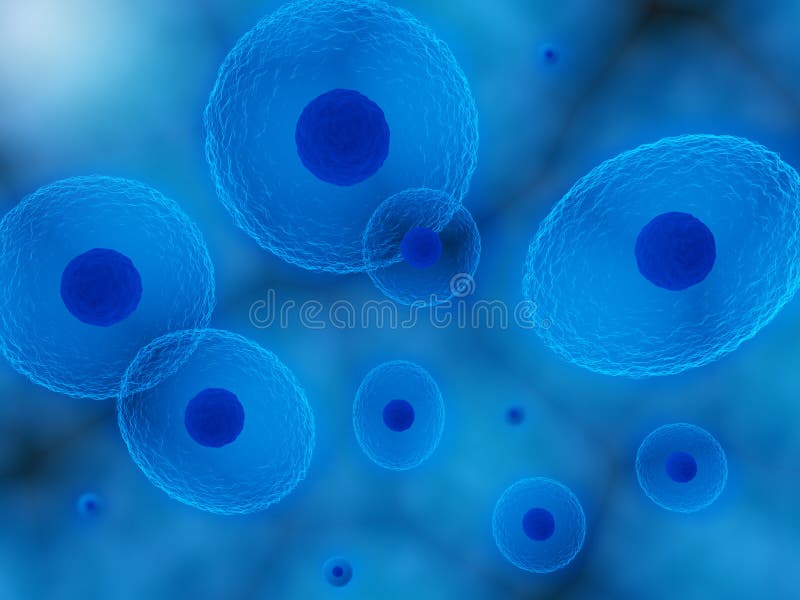 Menschliche Zellen stock abbildung. Illustration von biologie - 97230709