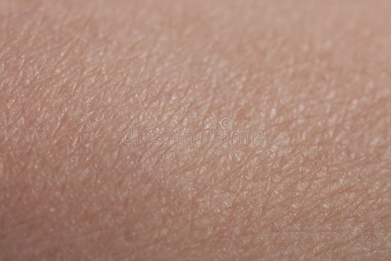 Menschlicher Haut-Unterarm stockbild. Bild von menschlich - 19267499