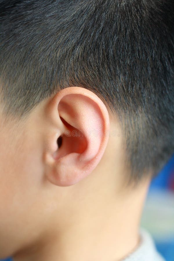 Menschliches Ohr stockfoto. Bild von makro, männer, schönheit - 30976102