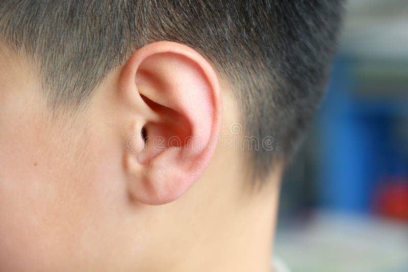 Menschliches Ohr stockbild. Bild von geheimnis, vorstellung - 30976137