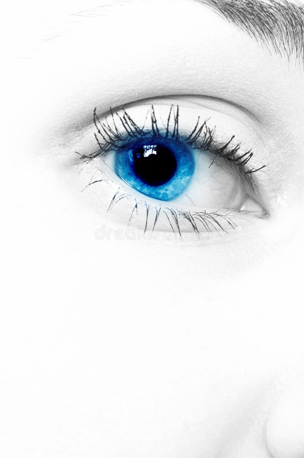 Menselijk oog stock afbeelding. Image of iris, schoonheid - 8303609