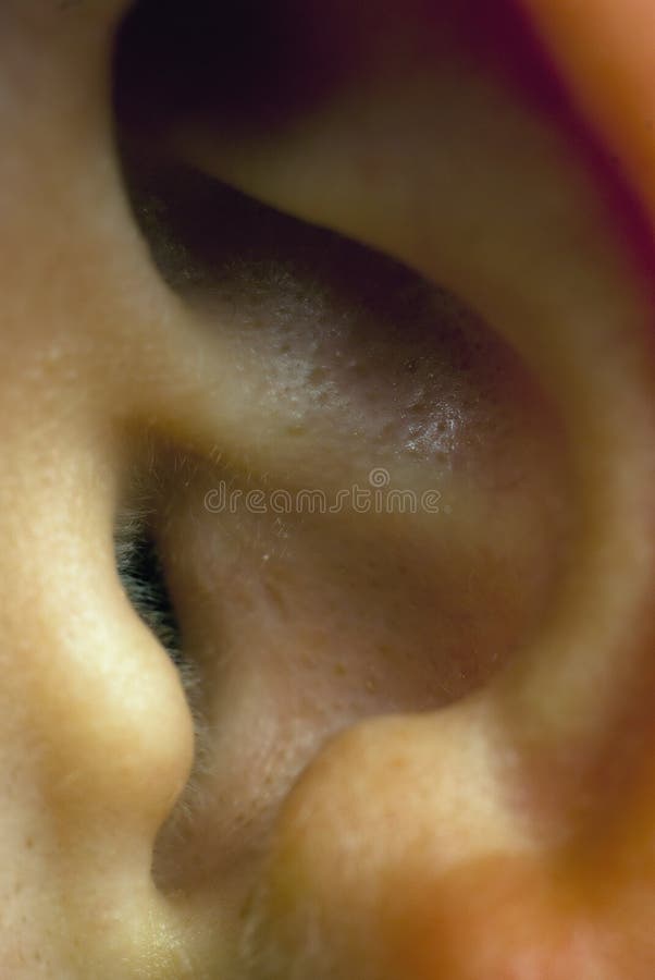 Menselijk oor stock afbeelding. Image of huid, luisteren - 31492595