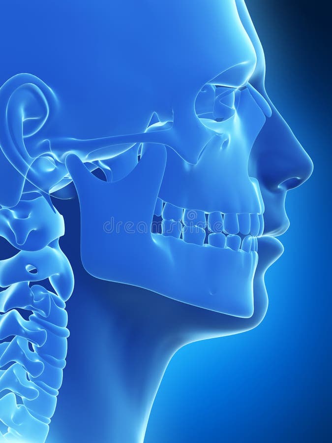 Inzamelings X-ray Schedel (Aziatische Mensen) Stock Afbeelding - Image ...