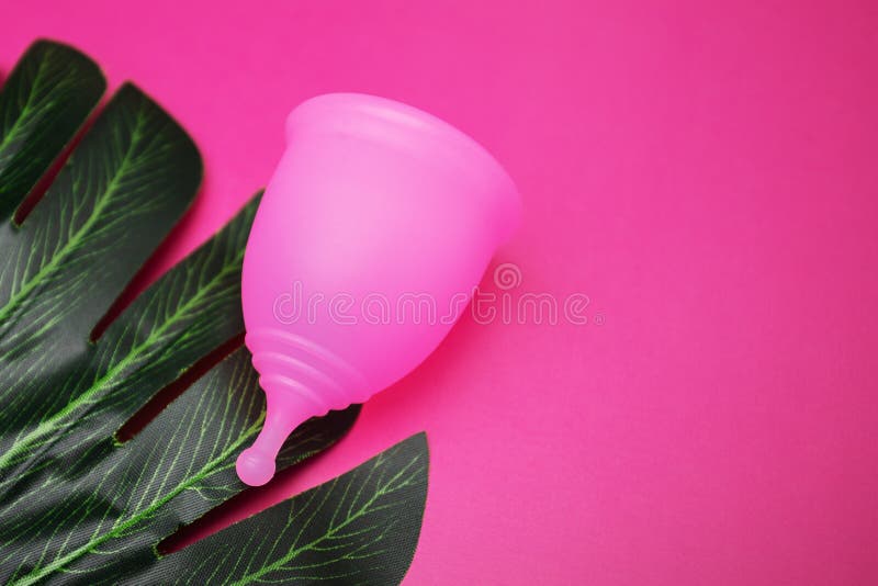 Menstrual Cup And Green Leaf Eco Friendly Menstruation Feminine Hygiene