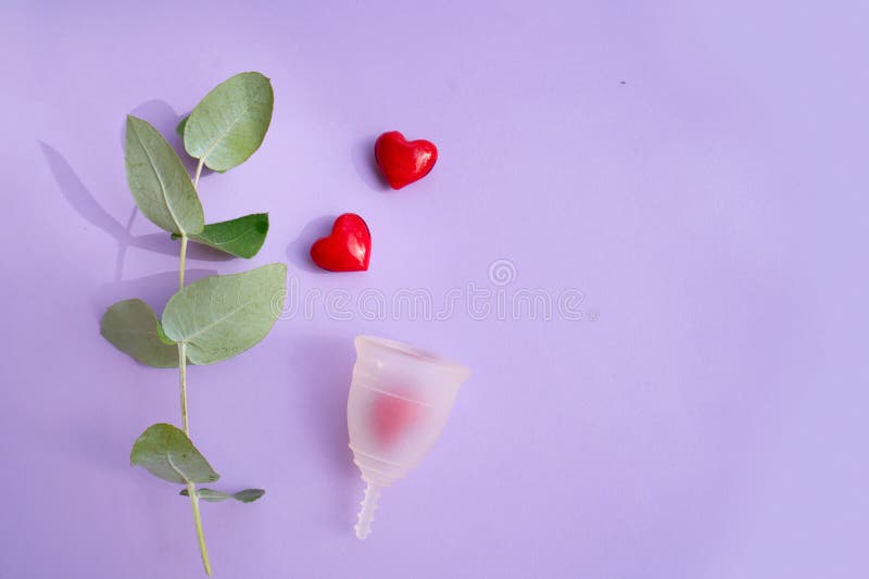 Menstrual Cap Over Violet Background Stock Image - Image of health ...
