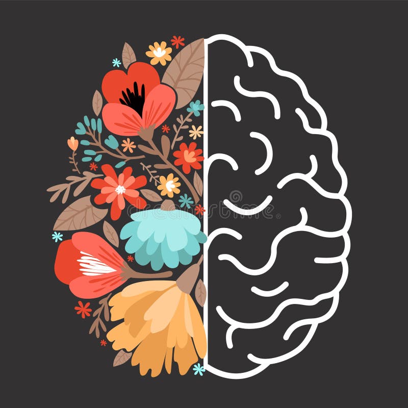 Brain Half Stock Illustrations – 1,646 Brain Half Stock Illustrations ...