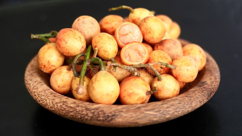 Menteng fruit stock image. Image of racemosa, phyllanthaceae - 239398213