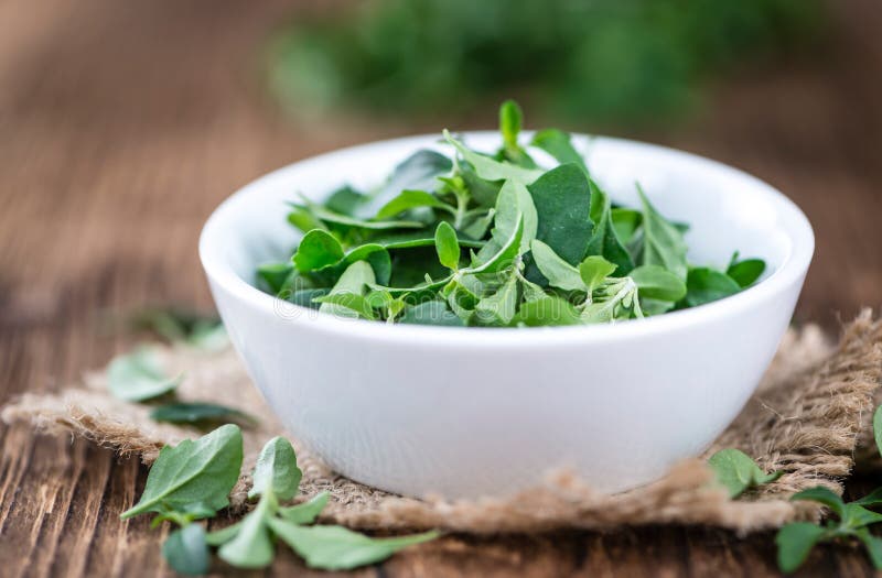 Menthol leaves stock photo. Image of aromatic, fresh - 72041074