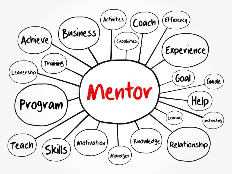 stock illustration. Illustration of mentoring, diagram - 203355848