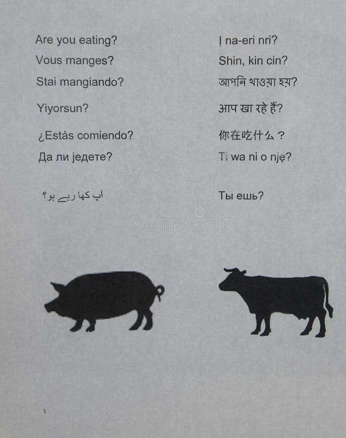 Menu Asking are You Eating? in Different Languages Stock Photo - Image ...