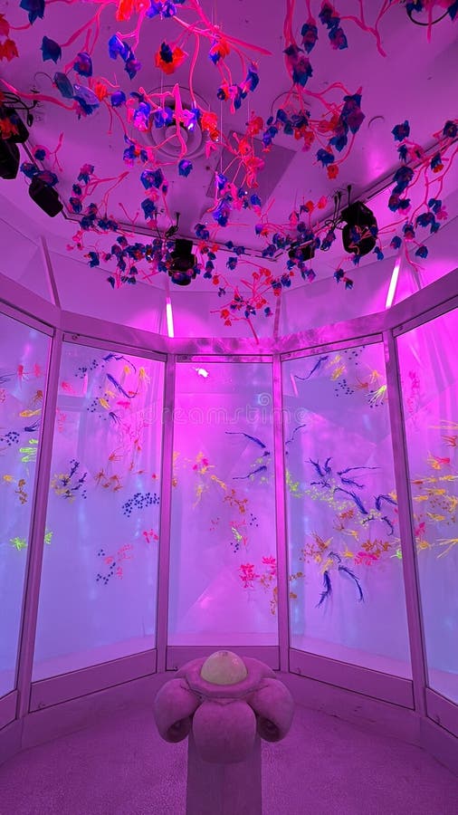 Meow Wolf Immersive Art Experiences and Interactive Exhibits in Denver ...