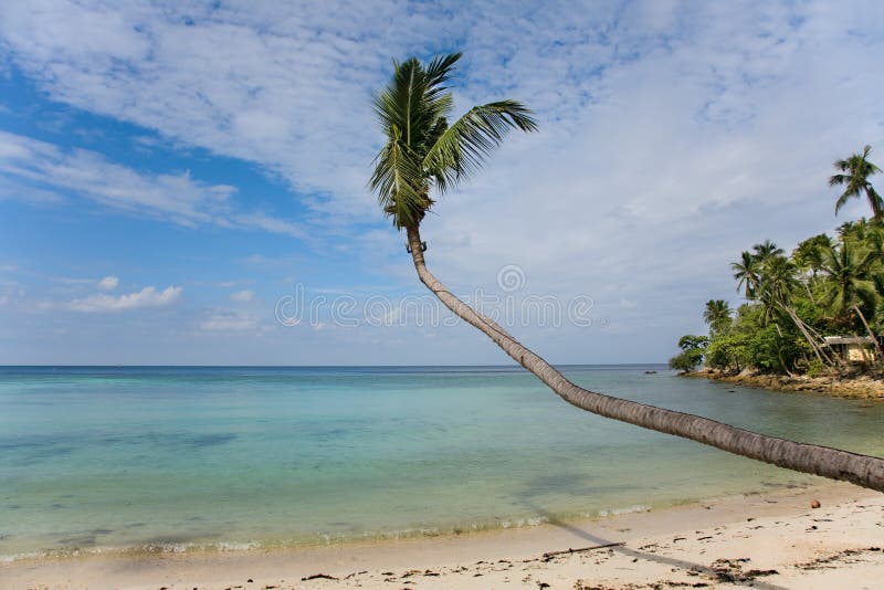 Mer Et Plage Avec Le Cocotier Photo stock - Image du océan, romantique ...