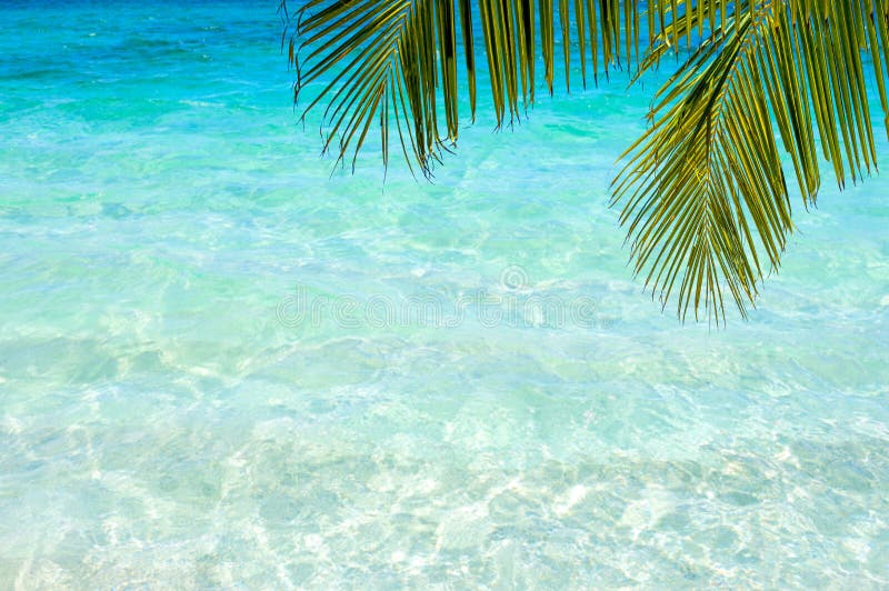 Mer Transparente Et Eau Limpide Image stock - Image du détente ...