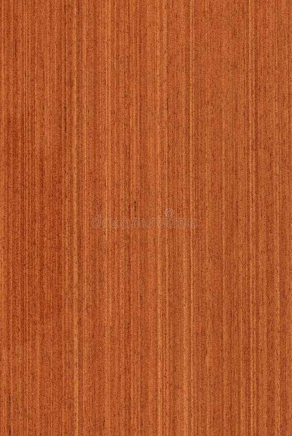 Meranti (wood texture) stock photo. Image of brown, pattern - 8109244