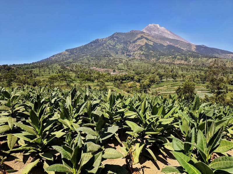 Merapi Mountain View in Boyolali, Central Java, Indonesia Stock Photo ...