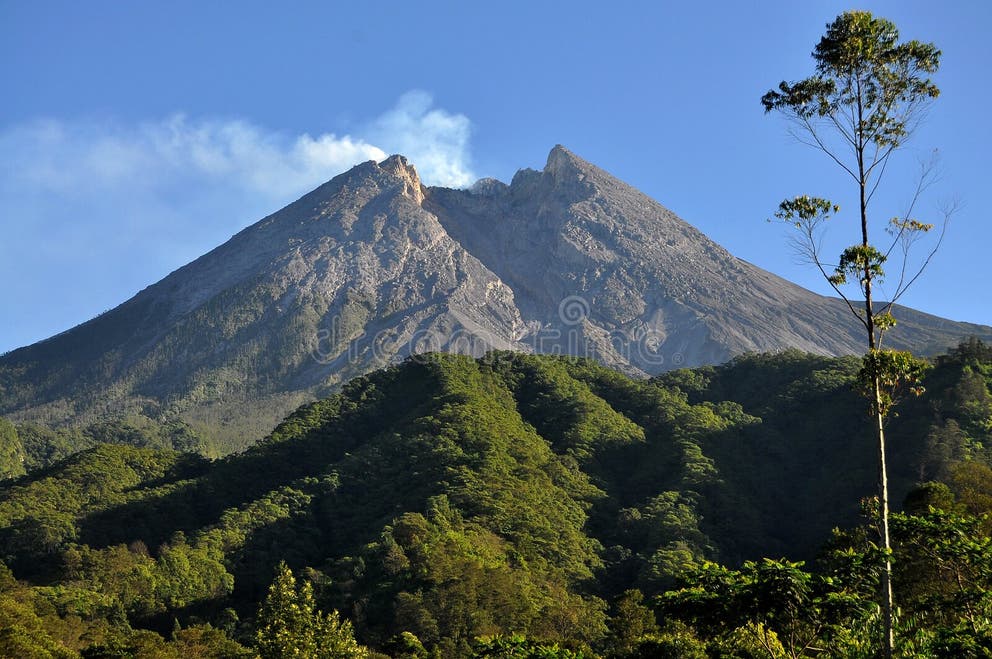 Merapi Volcano and Trees stock image. Image of indonesia - 237322757