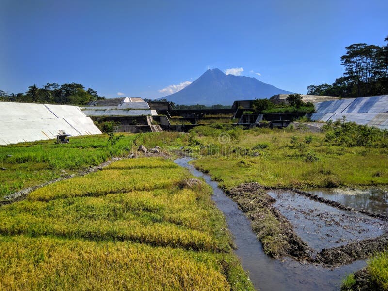 Merapi volcano mountain stock photo. Image of farm, meadow - 191716360
