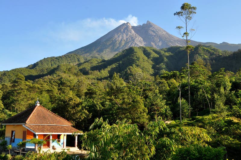Merapi Volcano and Trees stock photo. Image of plant - 237322740